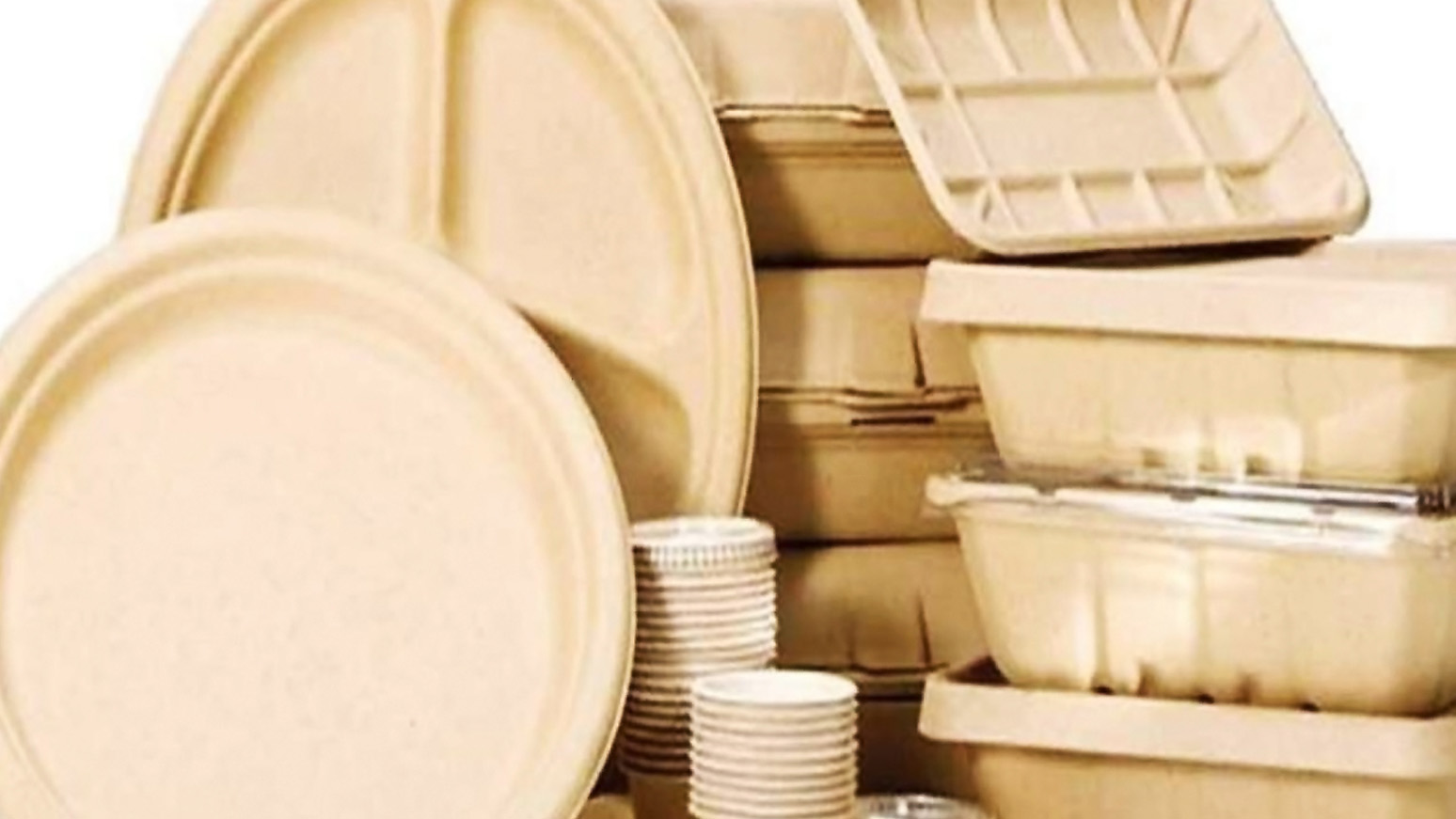 Recomiendan usar desechables biodegradables durante pandemia ...